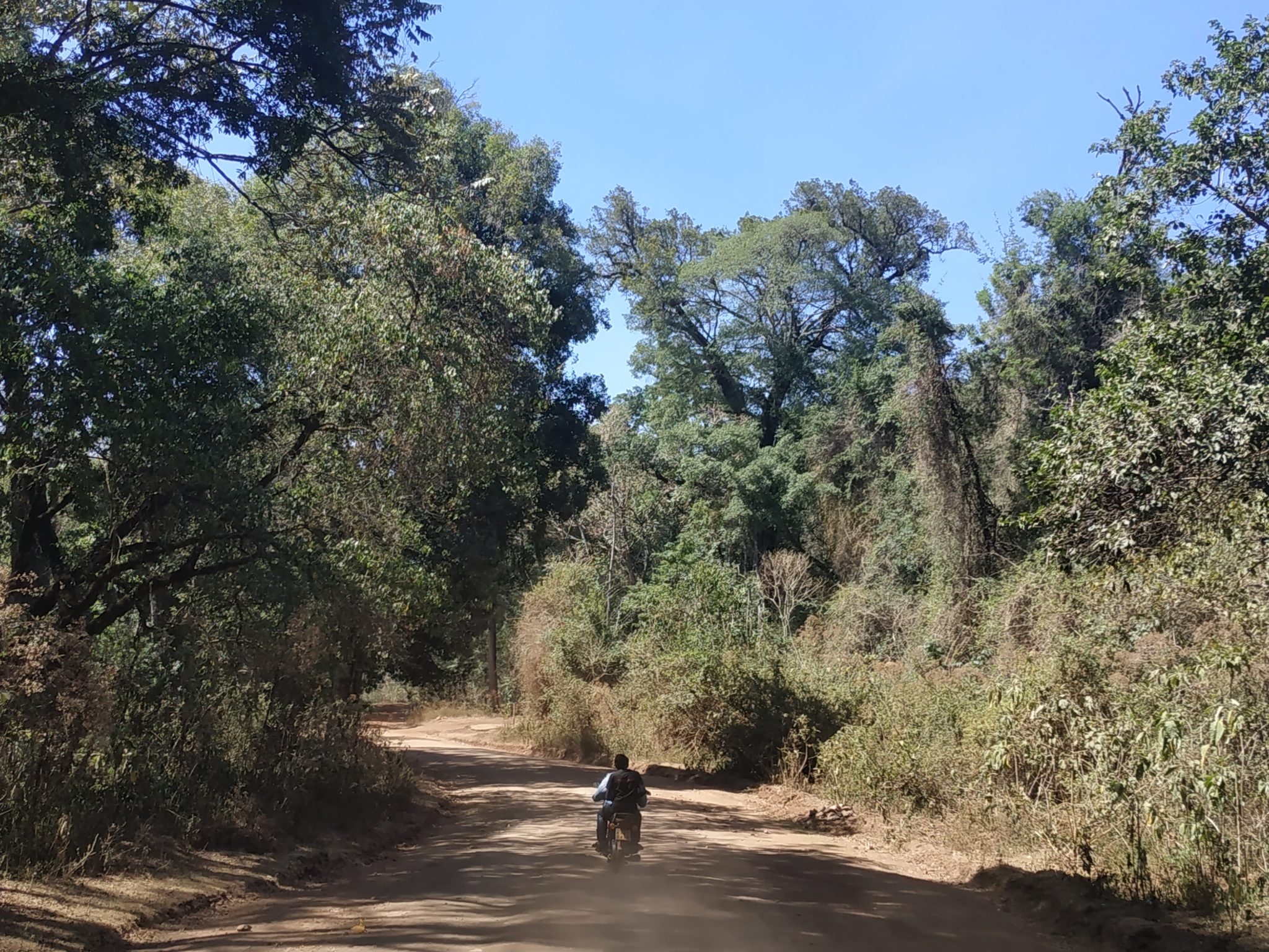 Boasblogs » Part 2 | Session 7 | 06 Jun 2024 | Decolonizing Ecologies